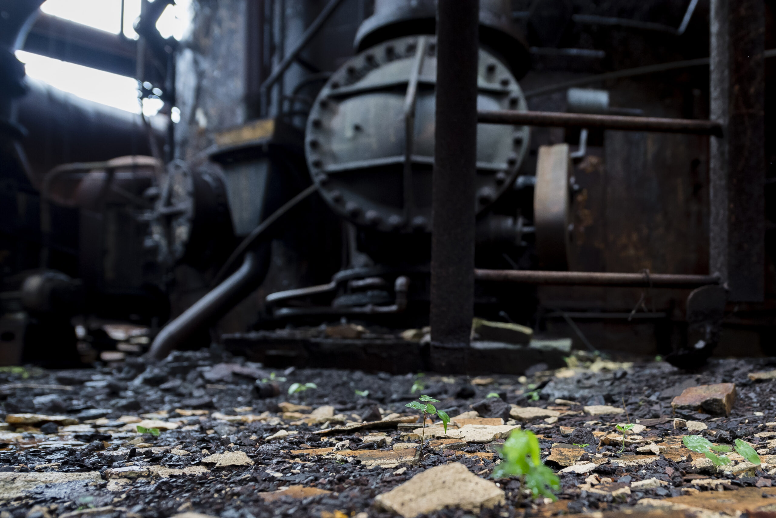 Toxic Metals Entered Soil From Pittsburgh Steel-Industry Emissions ...